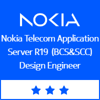 NTAS R19 (BCS&SCC) Design Engineer | Nokia badge